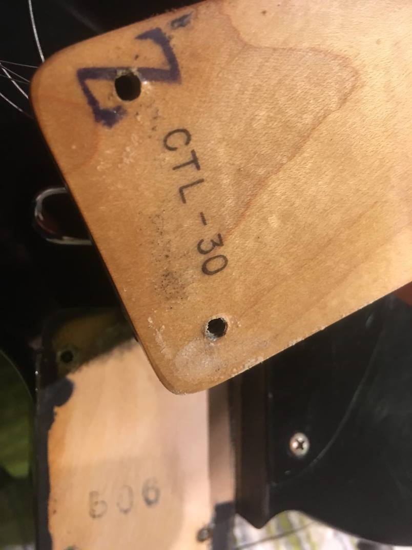 Squier Telecasters Japan