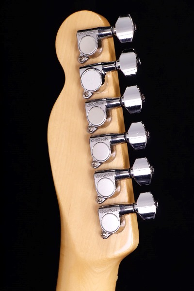 The Telecaster Custom